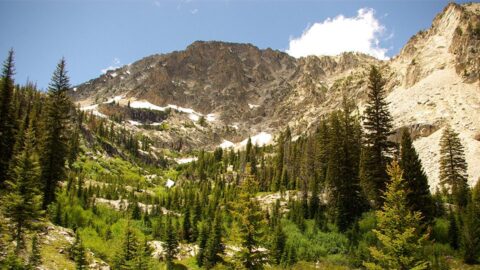 PaleoWest Awarded 5-Year U.S. Forest Service Contract by Region 4 ...